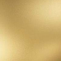 China Dark Champagne Gold Sanded Anodized Aluminum Panel For Corrosion Resistant Wall Cladding And Facades for sale