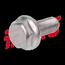 China Stainless Steel Hex Flange Bolts with Integrated Flange Washer, Corrosion Resistant and Precision Rolled Threads for sale