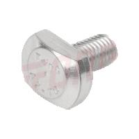 China Stainless Steel T Slot Bolts With Precision Rolled Threads And Corrosion Resistant T Head Fastener For Aluminum Profiles for sale