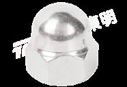 China Stainless Steel Acorn Cap Nuts In 304 316 With DIN1587 DIN917 Standards And Metric Imperial Sizes for sale