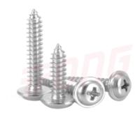 China Stainless Steel Self Tapping Screws With Multiple Drive Options And Full Thread For Various Applications for sale