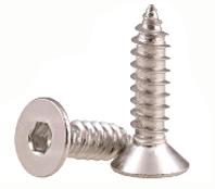 China Stainless Steel Self Tapping Screws With Multiple Drive Options And Full Thread For Various Applications for sale