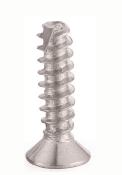 China Stainless Steel Self Tapping Screws With Multiple Drive Options And Full Thread For Various Applications for sale