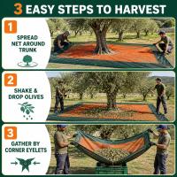 China New material supplied to Europe, four-corner edged and buckled olive netting, anti-aging fruit collection netting, olive harvesting netting for sale