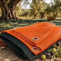 China New material supplied to Europe, four-corner edged and buckled olive netting, anti-aging fruit collection netting, olive harvesting netting for sale