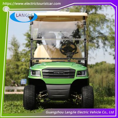 China 2 Seater AC Motor Electric Buggy Vehicle Electric Golf Cart With Lead-Acid Battery for sale