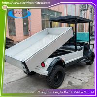 China 2 Seater 48V Battery Hotel Buggy Car With Cargo for Transport Luggage for sale