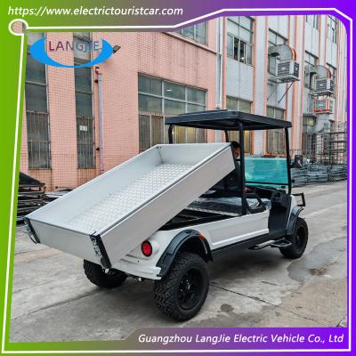 China 2 Seats Electric Luggage Cart  48V AC Motor Driven Battery Powered Carry Van For Park for sale