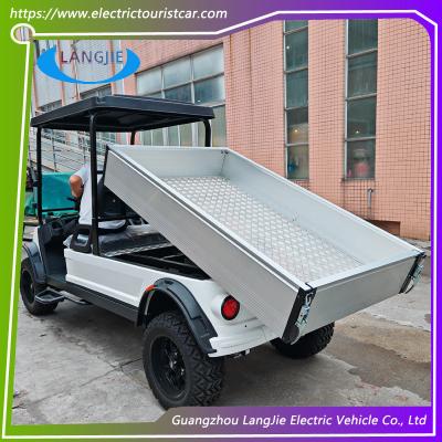 China 48V AC Motor Electric 2 Seater Golf Buggy Battery Operated CE Cetification for Park for sale
