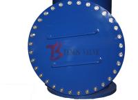 China Industrial Basket Filter Strainer Simplex WPB 36