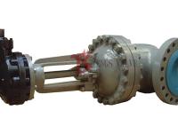China Petrochemical Industry Cast Steel Gate Valve 600LB Bolted Bonnet Design for sale