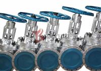 China Metal Seat Manual Globe Valve API Cast Steel 2