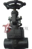 China Metal Seat Forged Steel Globe Valve Handwheel Operated J11H CL800 SW / NPT for sale