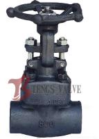China Metellic Seat Forged Steel Valves , Forged Carbon Steel Gate Valve for sale