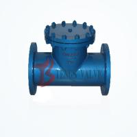China Welded Body T Type Strainer ANSI 150LB / 300LB High Performance 2 Inch - 48 Inch for sale