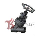 China Y Type Industrial Globe Valve Socket Weld Type 800LB J65H Handwheel Operated for sale