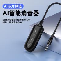 China T300Accompaniment Wizard (can remove vocals from the original song) for sale