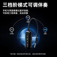 China T300Accompaniment Wizard (can remove vocals from the original song) for sale