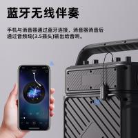 China T300Accompaniment Wizard (can remove vocals from the original song) for sale