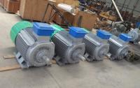 China Low Start 12kw Permanent Magnet Generator Free Energy Torque SKF Bearing for sale