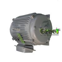 China Heat Dissipation Free Energy Permanent Magnet Generator Waterproof 5kw 50kw for sale