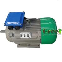 China Air Cooling Permanent Magnent Generator for IP54 Degree Classification for sale