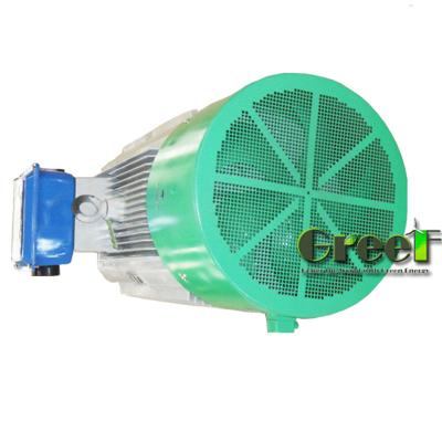 China Insulation Class F/H Permanent Magnet Generator Rated Rotor Speed Of 20-3000RPM 220V 690V Voltage for sale