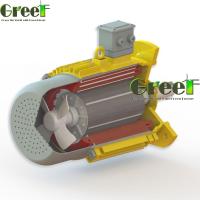 China Copper Stator Material Permanent Magnet Generator With SKF Bearing And IP54 Level For Low Maintenance Applications for sale