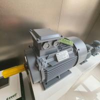 China IP54 Rated Flange Mount Permanent Magnet Motor with 0-3000 RPM for Industrial Applications for sale