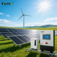 China 4000m Operating Altitude 95% Efficiency MPPT Controller Hybrid Solar System Wind-Solar Hybrid Generator for sale