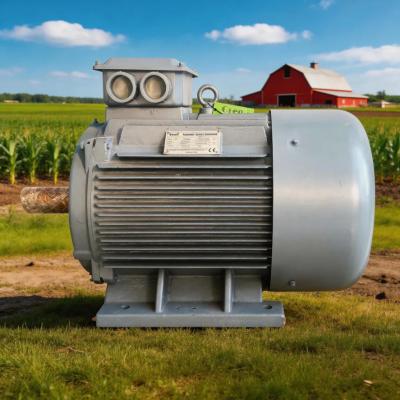 China IP67 Rated 3 Phase AC Permanent Magnet Generator with 20rpm-3000rpm Speed and >95% Efficiency for sale