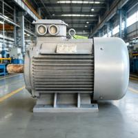 China High Efficiency Permanent Magnet Generator with Low RPM and IP54 Protection for Stable Power Output for sale