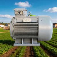 China IP54 Protected Permanent Magnet Generator with 20rpm-3000rpm Rated Speed for Horizontal or Vertical Installation for sale