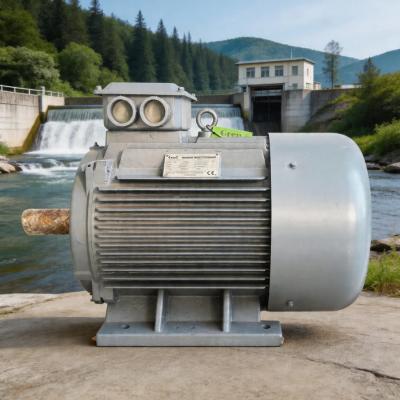 China 3 Phase AC Synchronous Permanent Magnet Generator with Y Winding Method and Durable Aluminium Alloy Blade for Customized Voltage Applications for sale