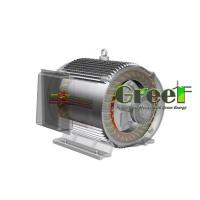 China IP54 Permanent Magnet Generator with NdFeB Magnet Technology and Installation IMB3 IMB5 IMB35 Ensuring Energy Conversion for sale