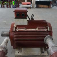 China 100% Copper Wire NdFeB Three Phase Generator Featuring IMB3 IMB5 IMB35 Installation Ideal for Power Supply in Industrial Environments for sale