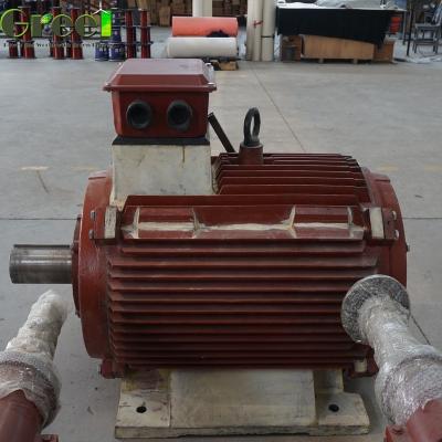 China 100% Copper Wire NdFeB Three Phase Generator Featuring IMB3 IMB5 IMB35 Installation Ideal for Power Supply in Industrial Environments for sale