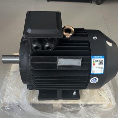 China 6 Poles Permanent Magnet Motor Air Cooled High Efficiency for Pumps Fans Compressors for sale