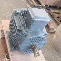 China 24V-1140V Brushless Permanent Magnet Motor Offering IP54 Degree Classification Optimized for Automation Machinery and Energy Solutions for sale