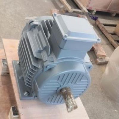 China 24V-1140V Brushless Permanent Magnet Motor Offering IP54 Degree Classification Optimized for Automation Machinery and Energy Solutions for sale