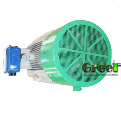 China Air Cooled Permanent Magnet Motor with Cast Iron Shell and High Efficiency for Industrial Use for sale