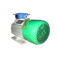 China 10KW 100KW Permanent Magnet Generator Free Energy Magnet Type NdFeB for sale