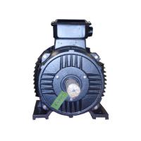 China 10kW Permanent Magnet Generator Air Cooled 50Hz/60Hz for sale