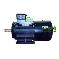 China Brushless Three Phase Permanent Magnet Generator Low Speed Horizontal / Vertical Installation for sale