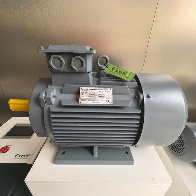 China 12VAC to 1140VAC Permanent Magnet Generator with Fan Water Self Cooling and IP54 Classification for sale