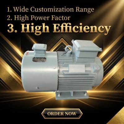 China 20KW 3 Phase AC Permanent Magnet Generator with 100% Copper Winding and IP54 Protection for sale