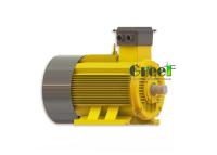 China Synchronous Permanent Wind Power Alternator Low Rpm High Efficiency for sale