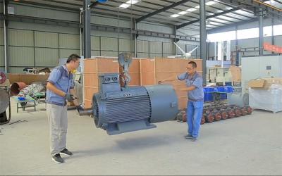 China IP54 50kw 500rpm Low Speed Permanent Magnet Generator for sale