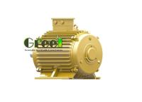 China Free Energy Electric Permanent Magnet Generator SKF Bearing 5kw 220v for sale