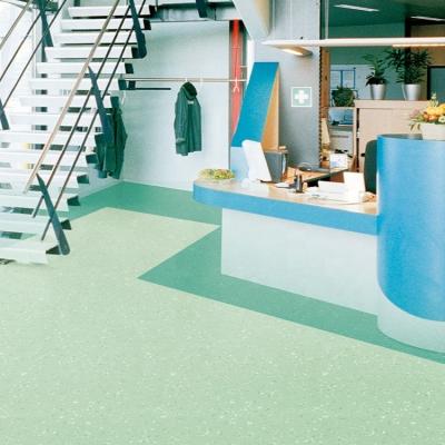 China Heavy Duty Relle Flooring Mosque Homogeneous Flooring PVC Plastic for sale